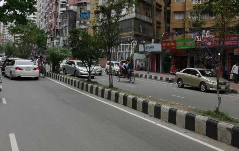 Tree planting along the road divider – Metamorphosis Global Online Toolkit